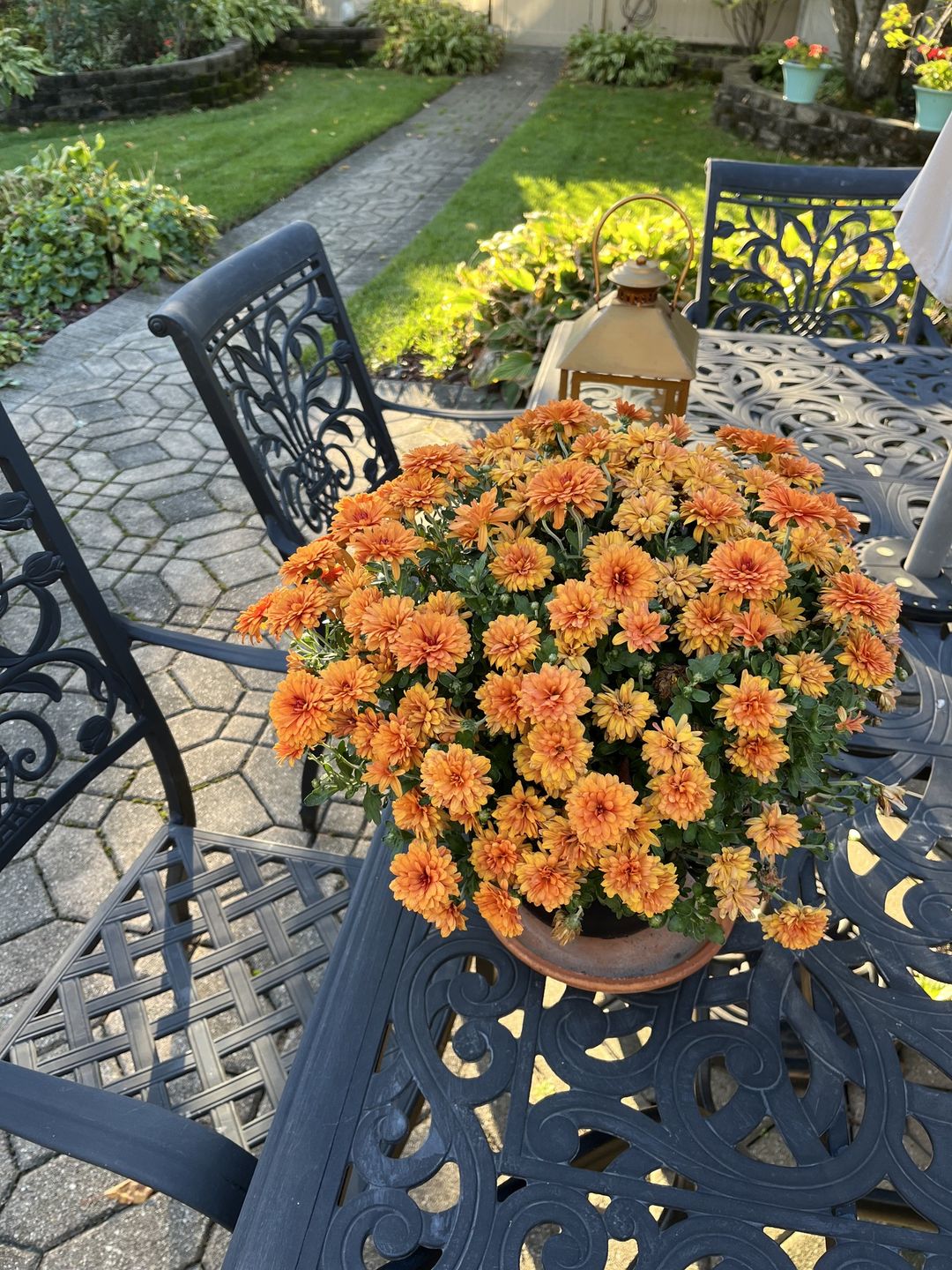 Adjusting to New Developments - Elizabeth Havey Blog