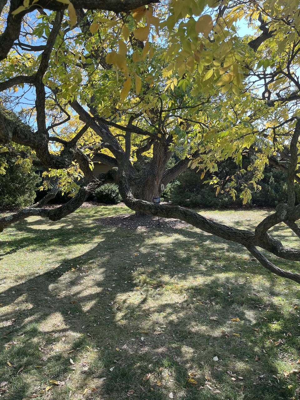 Living in Liminal Space Today - Elizabeth Havey Blog